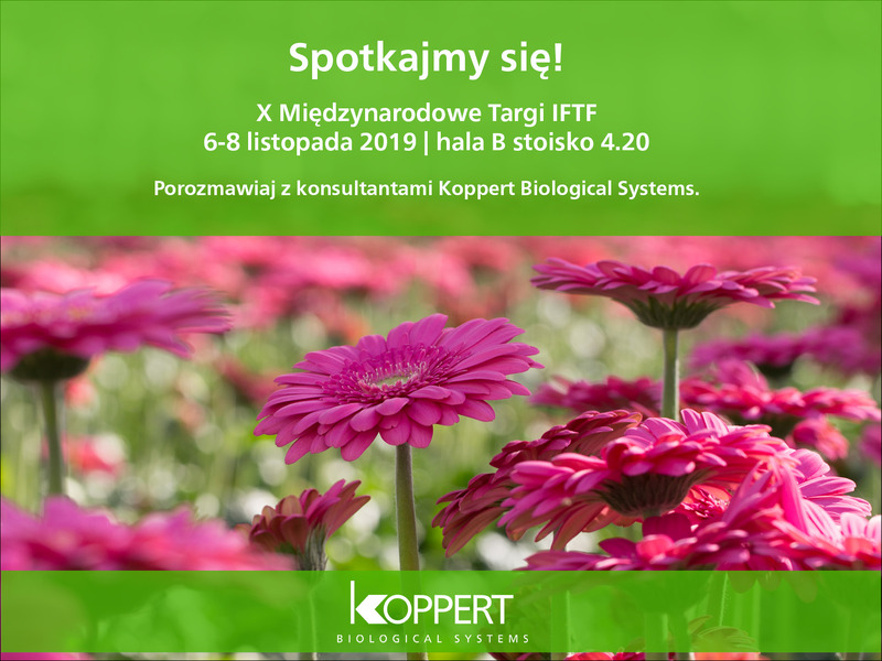 IFTF 2019 | Koppert Polska