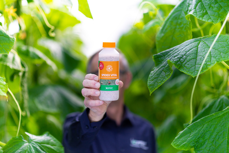 Spidex Vital - innowacyjny, ulepszony produkt do walki z przędziorkiem ...