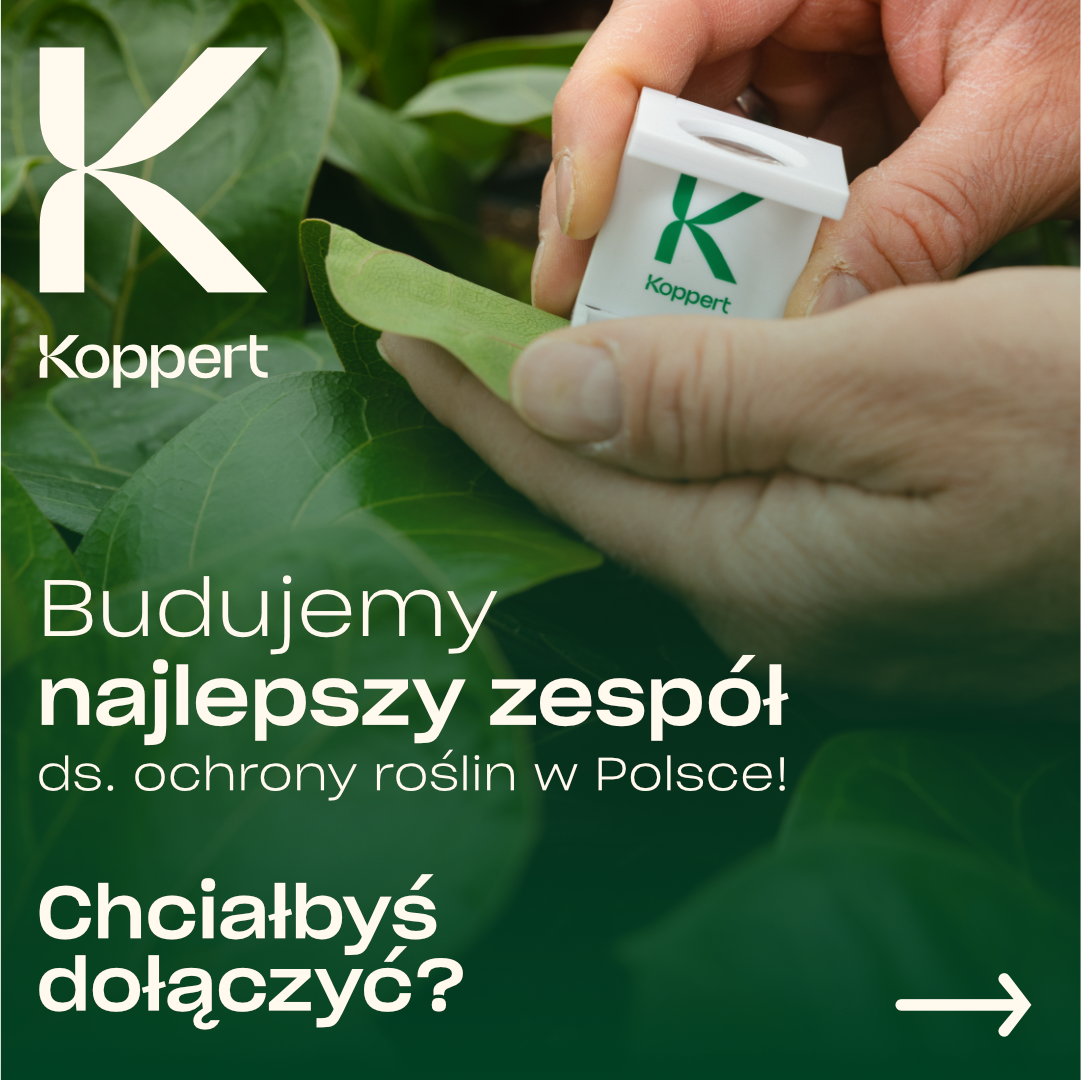 Praca | Koppert Polska